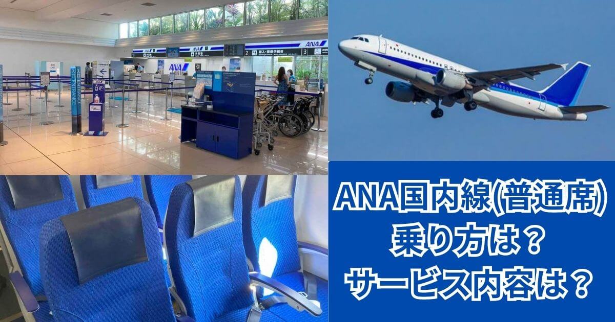 ANA国内線（普通席）の乗り方は？サービス内容は？LCCと何が違うの？くっすんが分かりやすく解説！ - くっすんのコスパブログ